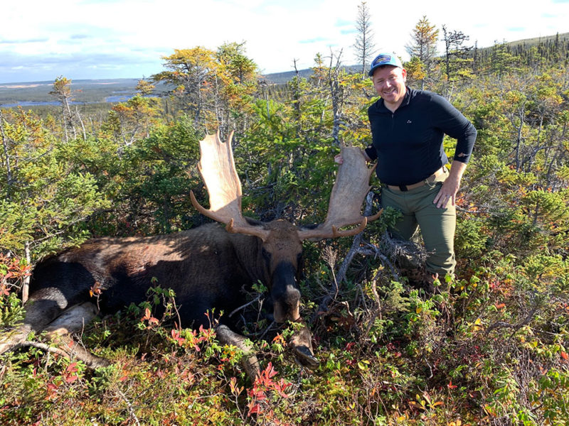 Newfoundland Moose Hunting | Newfoundland Moose Hunting Guides & Bear ...