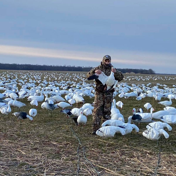 Illinois Snow Goose Hunting Guides | Snow Goose Hunting Outfitters In ...