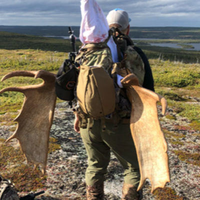 Newfoundland Moose Hunting | Newfoundland Moose Hunting Guides & Bear ...