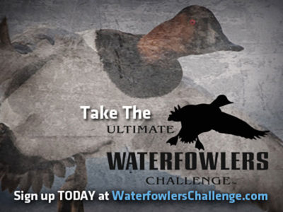 2025 Spring Snow Goose Migration Reports