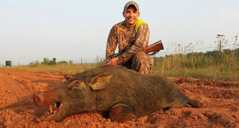 Georgia Wild Hog Hunts | Georgia Hog Hunting Guides & Outfitters