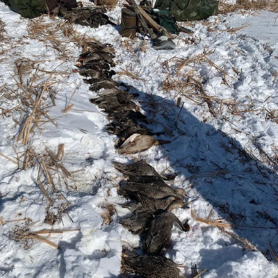 Minnesota Waterfowl Hunting – First Flight Finishers Guide Service ...