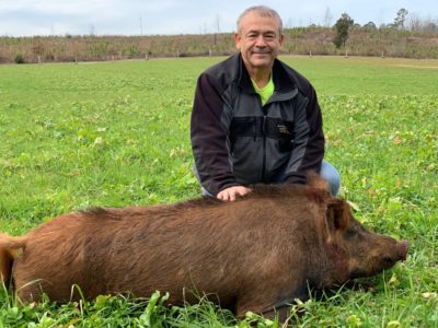 Georgia Wild Hog Hunts | Georgia Hog Hunting Guides & Outfitters