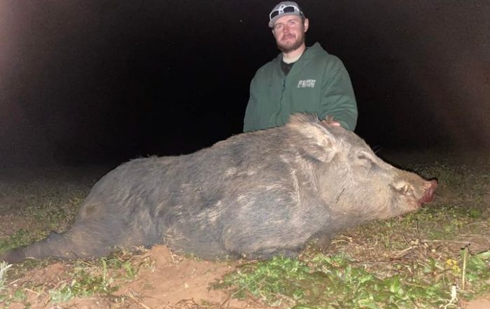 Georgia Wild Hog Hunts | Georgia Hog Hunting Guides & Outfitters