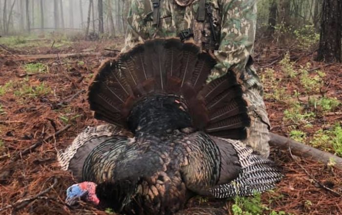 Georgia Turkey Hunting Guides | Georgia Turkey Hunting Guides