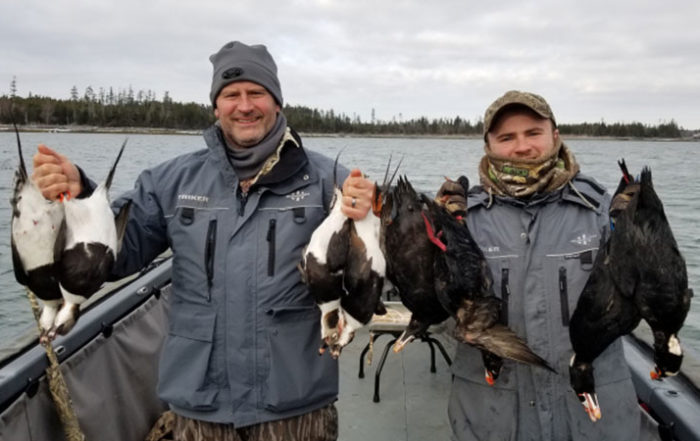 Maine Sea Duck Hunting Guides & Waterfowl Outfitters | Maine Diver Duck ...