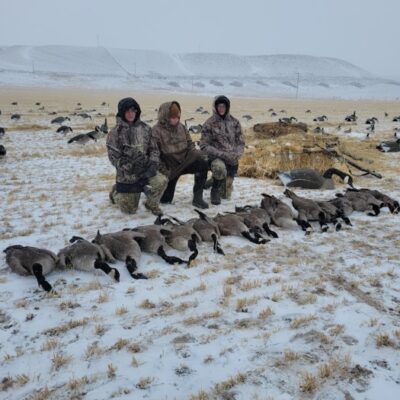 Montana Duck Hunting Guides | Montana Goose Hunting Outfitters