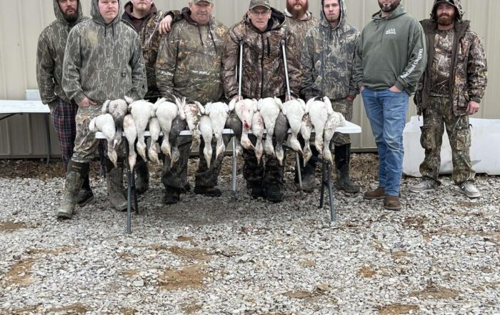Illinois Snow Goose Hunting Guides | Snow Goose Hunting Outfitters In ...