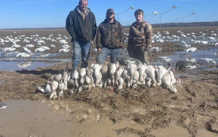 Illinois Snow Goose Hunting Guides | Snow Goose Hunting Outfitters In ...