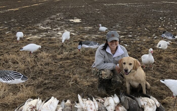Illinois Snow Goose Hunting Guides | Snow Goose Hunting Outfitters In ...