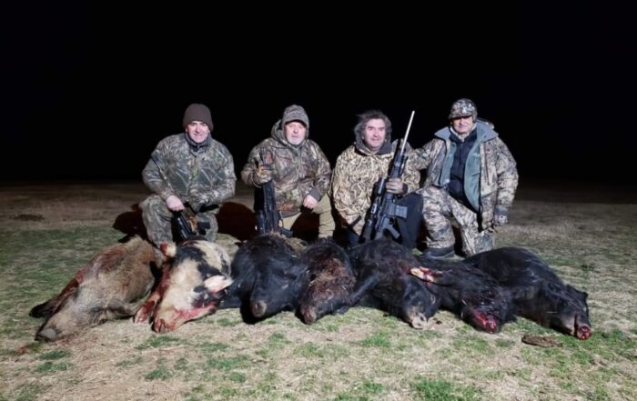 Oklahoma Wild Hog Hunts - Oklahoma Hog Hunting Outfitters ...