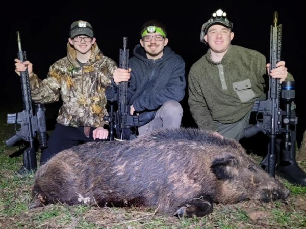 Oklahoma Wild Hog Hunts - Oklahoma Hog Hunting Outfitters ...