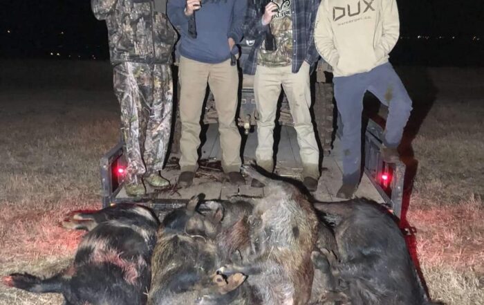 Texas Wild Hog Hunts - Texas Hog Hunting Guides And Outfitters ...