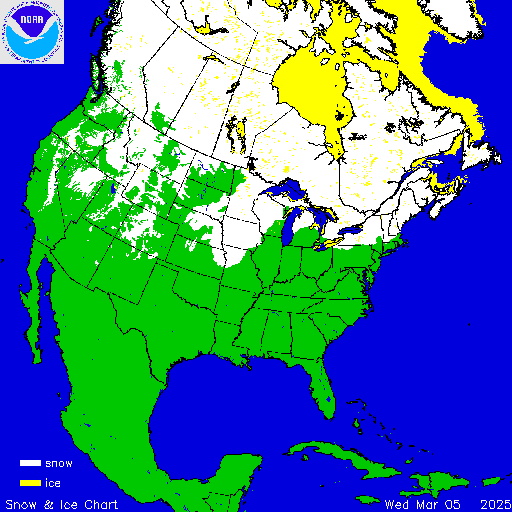 2025 Spring Snow Goose Migration Reports