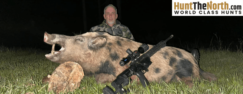 Georgia Wild Hog Hunts | Georgia Hog Hunting Guides & Outfitters