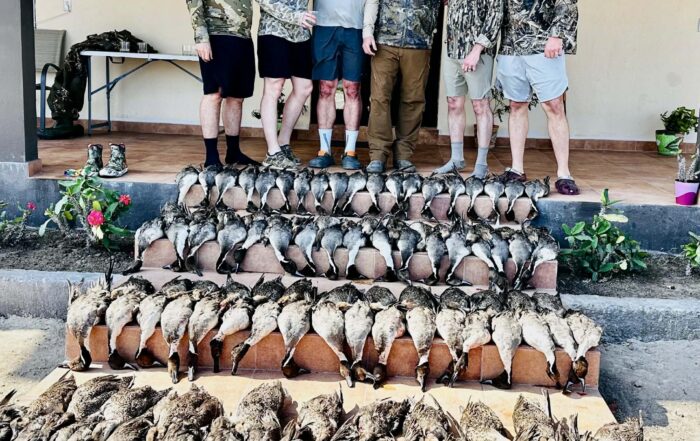 Mexico Duck Hunting | Mexico Waterfowl Hunting Guides