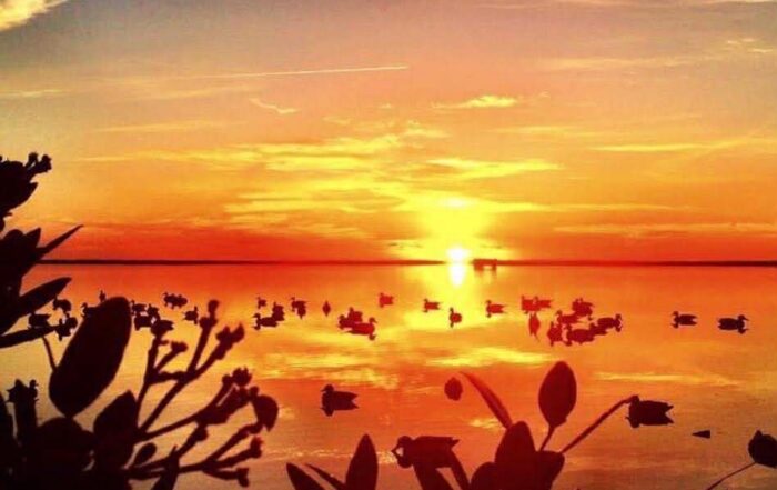 Mexico Duck Hunting | Mexico Waterfowl Hunting Guides