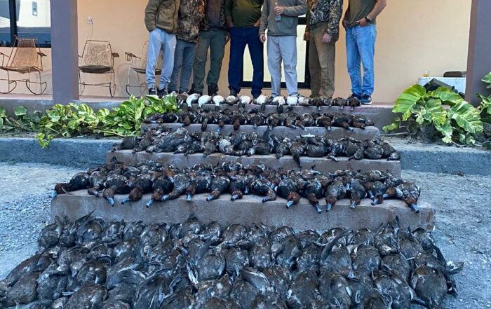 Mexico Duck Hunting | Mexico Waterfowl Hunting Guides