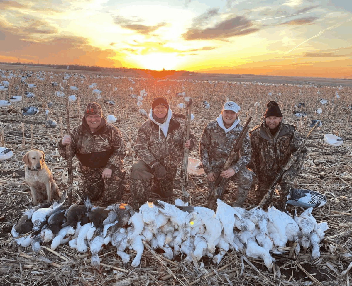 South Dakota Spring Snow Goose Hunting Guides & Outfitters