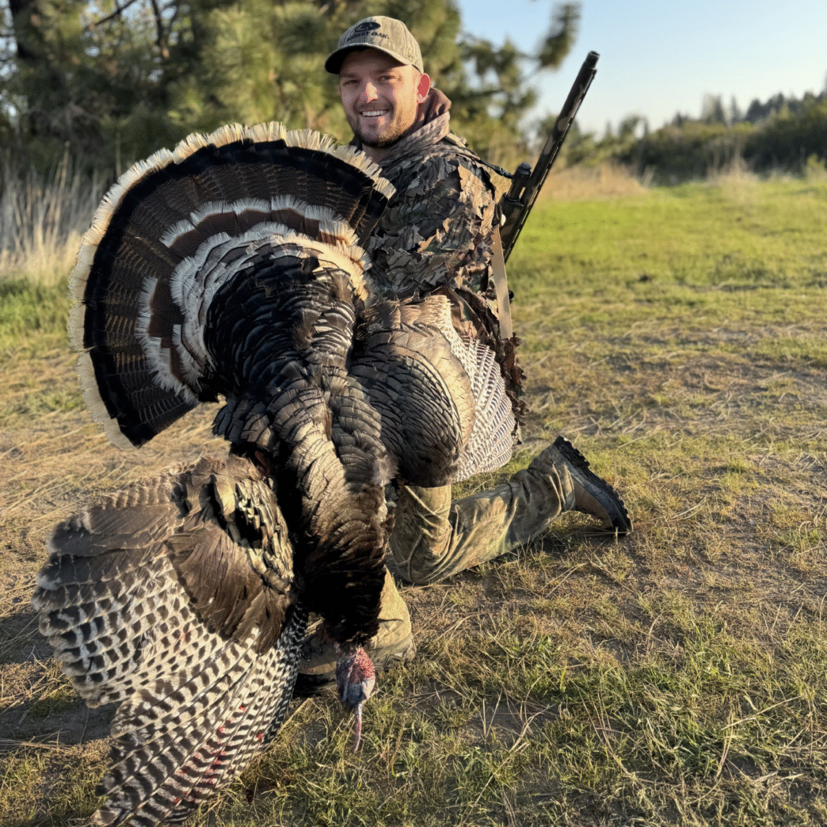 Washington Turkey Hunting | Washington Guided Turkey Hunts